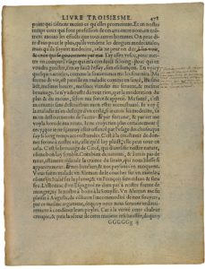 De l’Experience - Essai de Michel de Montaigne - Essais - Livre 3 ...