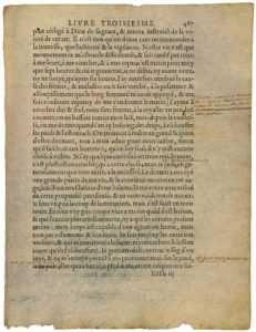 De l’Experience - Essai de Michel de Montaigne - Essais - Livre 3 ...