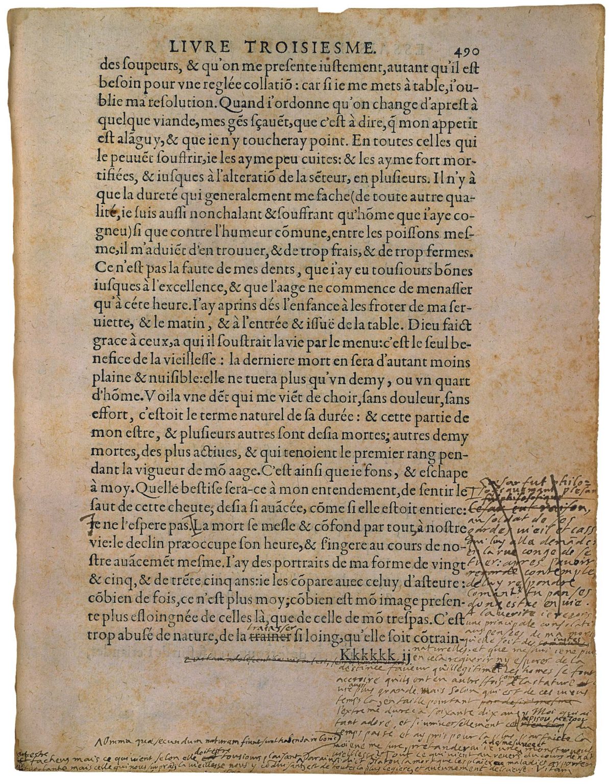 De l’Experience - Essai de Michel de Montaigne - Essais - Livre 3 ...