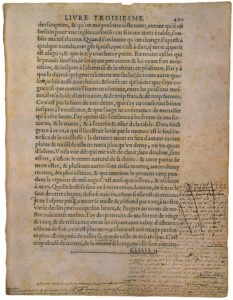 De l’Experience - Essai de Michel de Montaigne - Essais - Livre 3 ...
