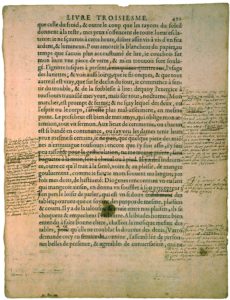 De l’Experience - Essai de Michel de Montaigne - Essais - Livre 3 ...